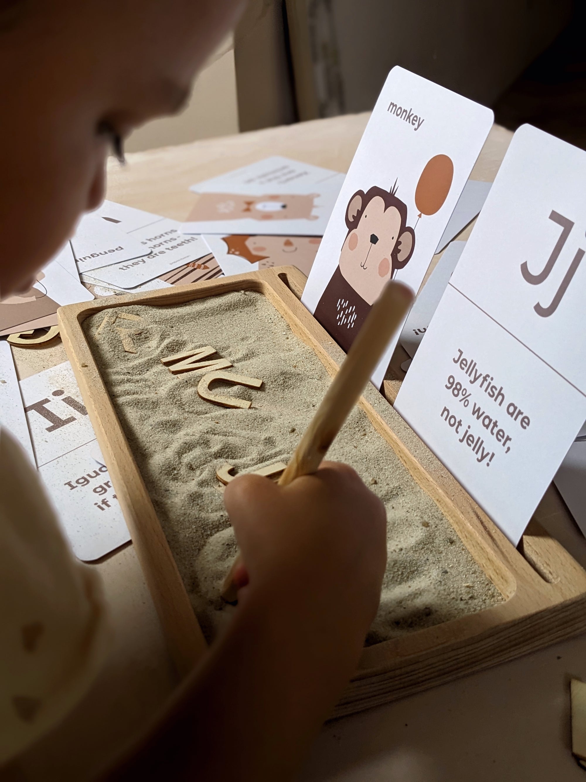 Paper & Bean - Eco-Friendly Toys & Gifts for 0-5 Years